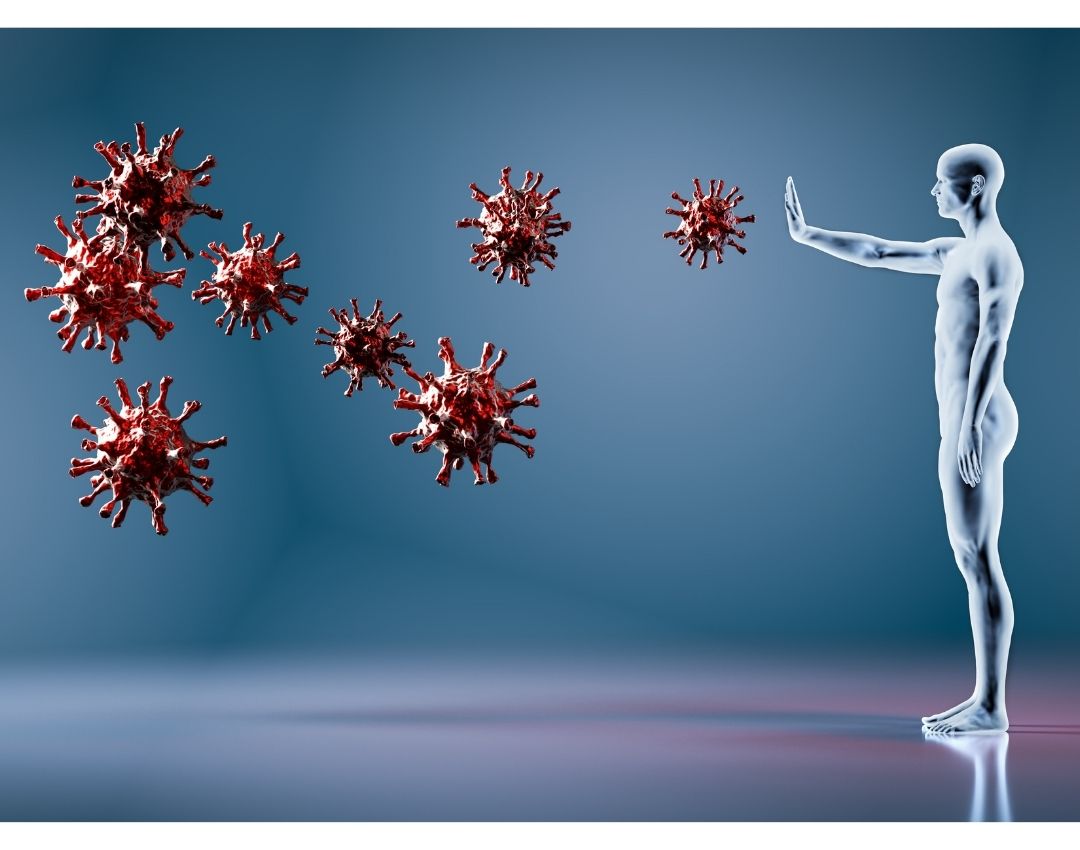 Tania’s tips to boost your immunity | Bondi Health & Wellness